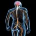 Nerve Damage and Nerve Pain - How It Works | AllSpine
